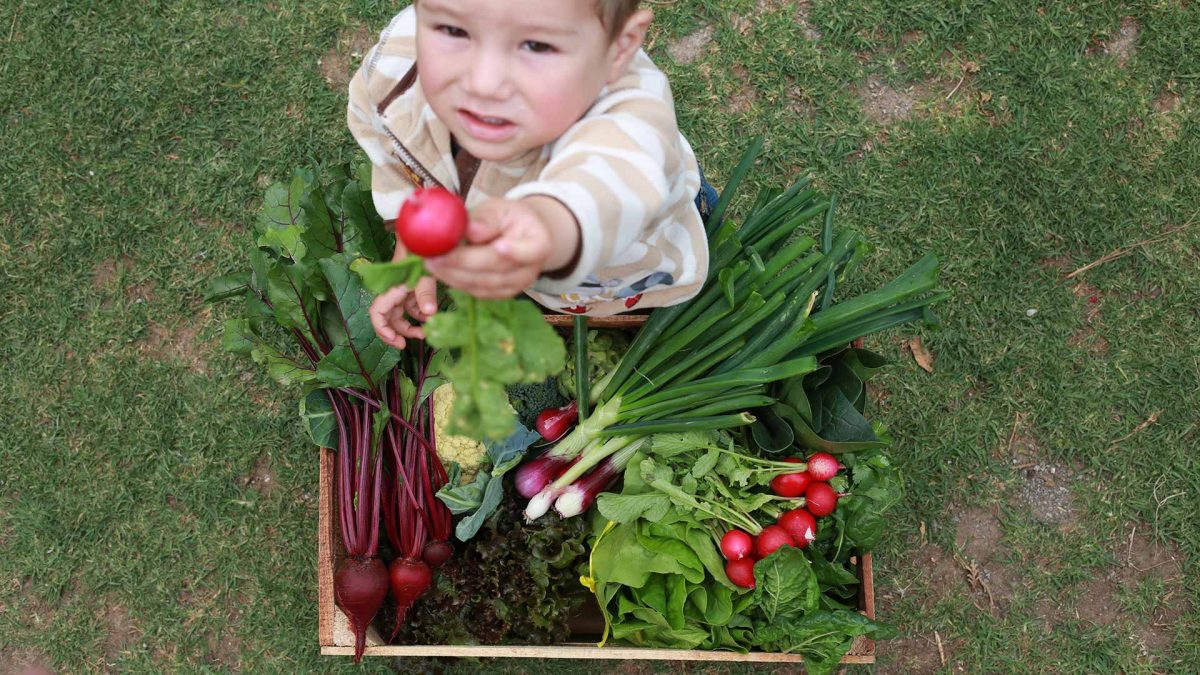 La Tierra que Nutre - Nutre a un Niño, A.C.